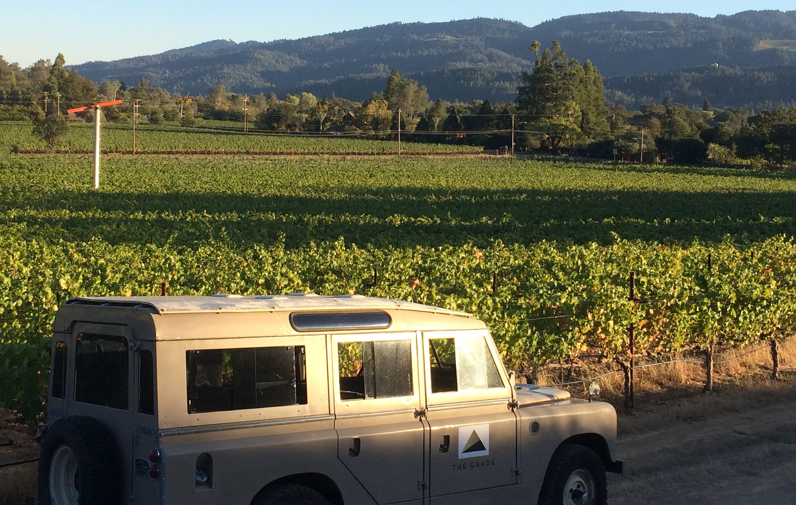 About Us - THE GRADE CELLARS